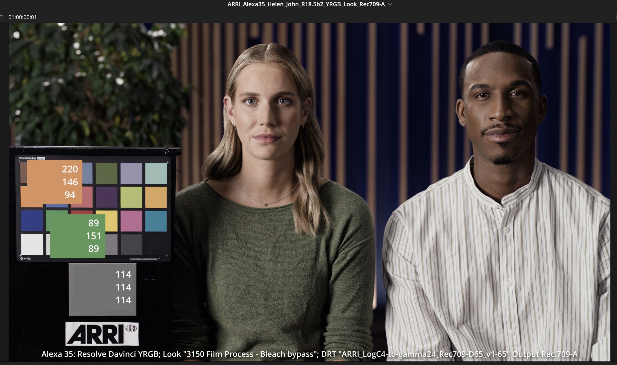 toodee coloring page